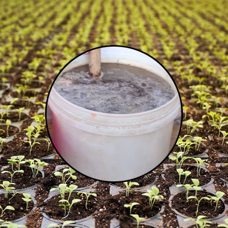 Liquid Biofertilizer