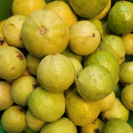 Guava Local - Natural